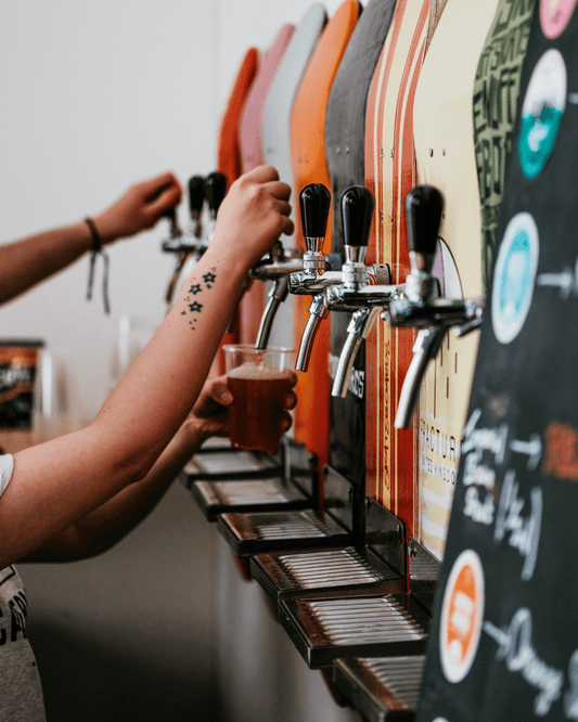 Furstenberg Lager 20x500ml | The Beer Town | Beer Shop