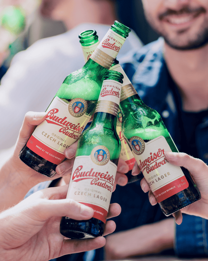 Furstenberg Lager 20x500ml | The Beer Town | Beer Shop